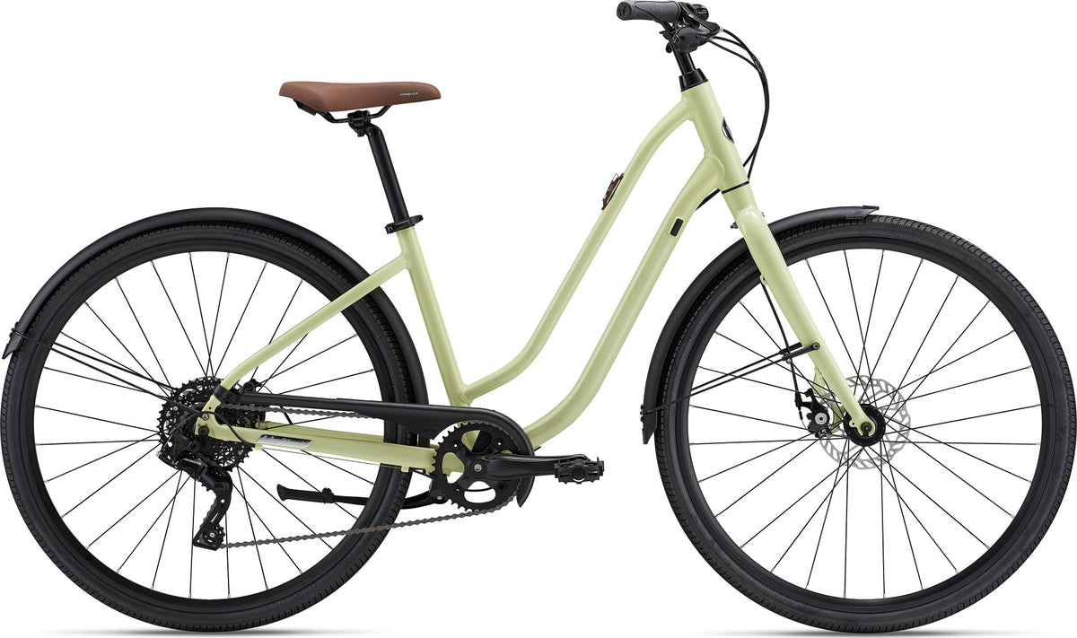 Liv Flourish 3 Disc | Tay Junction