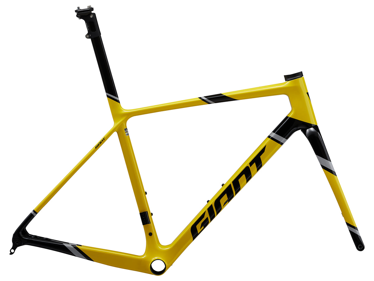 Giant TCR Advanced SL Frameset (10th Gen) | Tay Junction