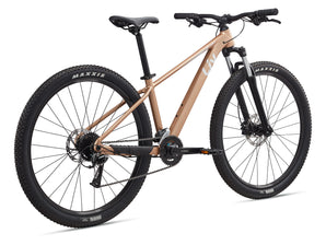 Giant Bicycles Singapore | Bicycle Shop Singapore | Tay Junction